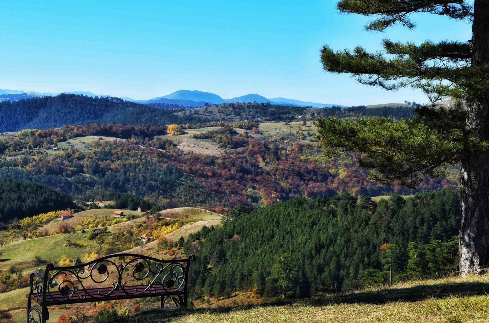 Najlepša mesta Zlatibora (ili šta obići?) - Iz mog ugla - P.Božin